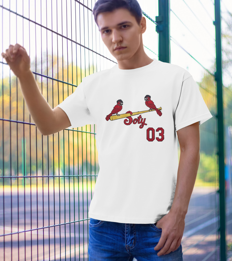 Soty 03 St Louis Cardinals Cartoon Emo Birds On Baseball Bat T-Shirt