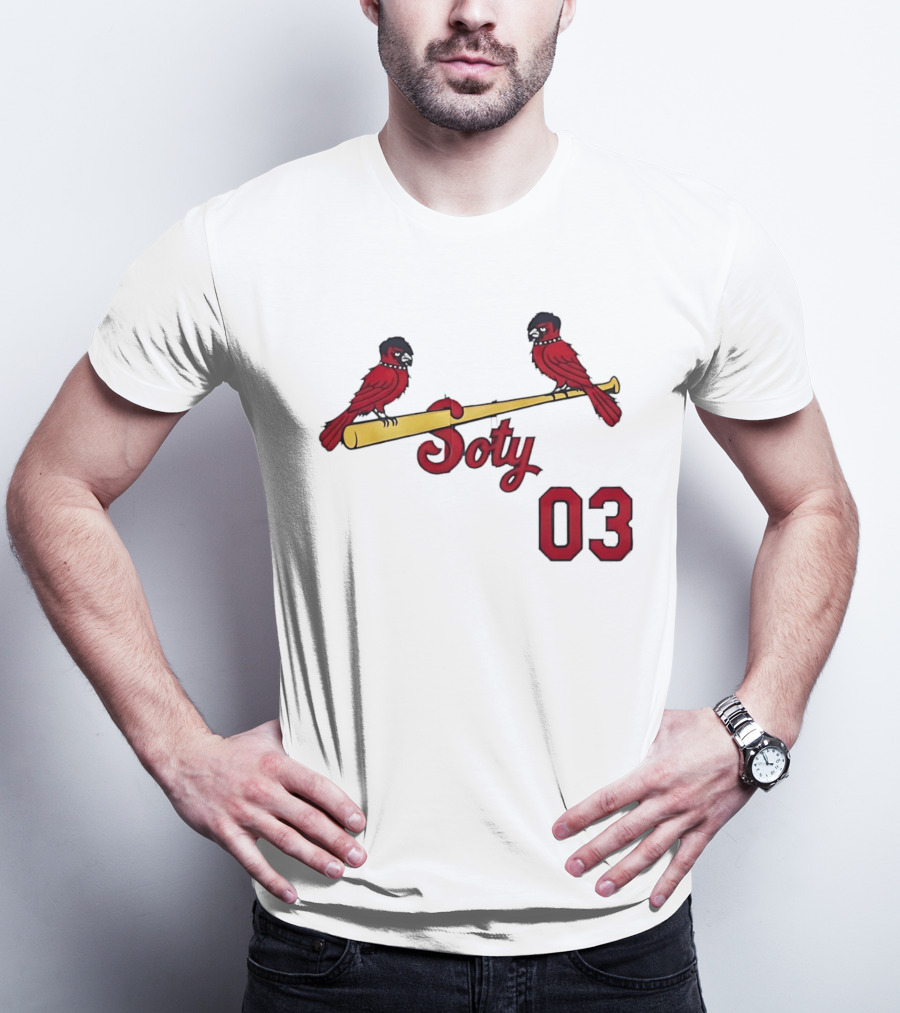 Soty 03 St Louis Cardinals Cartoon Emo Birds On Baseball Bat T-Shirt
