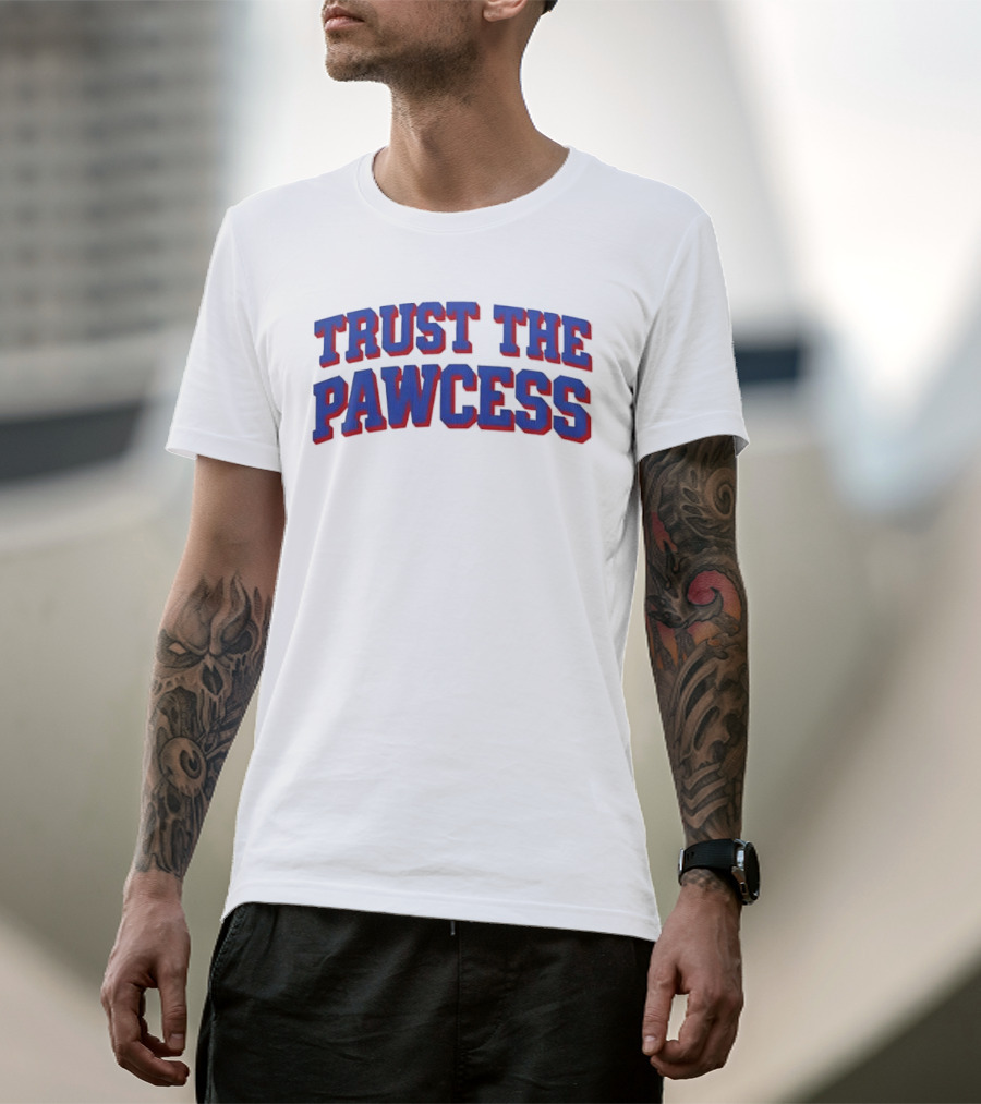 Trust The Pawcess Blue Red Arched 3D Wood Grain T-Shirt