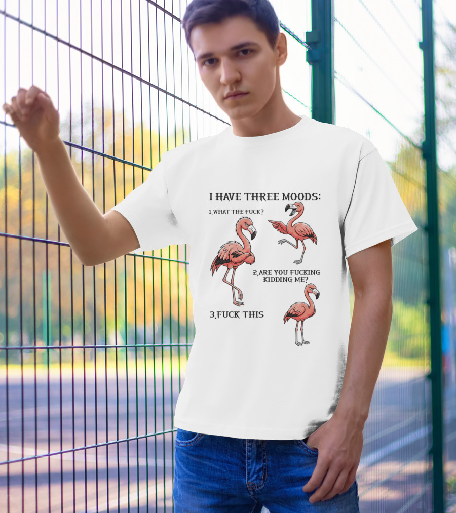 I Have Three Moods What The Fuck Are You Fucking Kidding Me Fuck This Flamingo T-Shirt