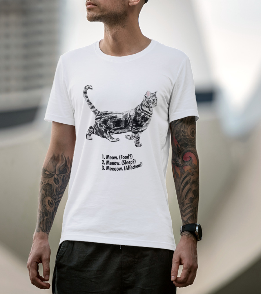 Meow Food Meeow Sleep Meeeow Affection Cat Lovers Humor T-Shirt