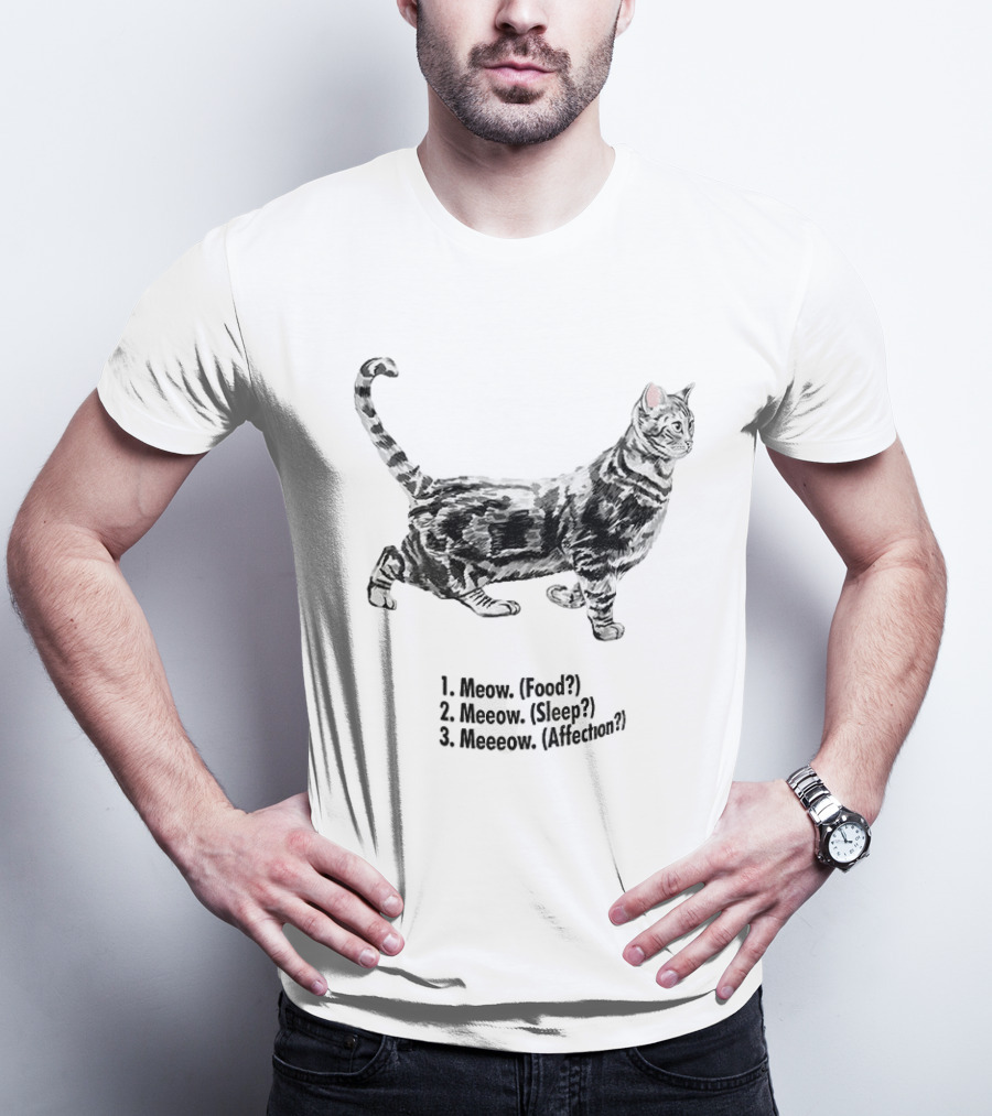 Meow Food Meeow Sleep Meeeow Affection Cat Lovers Humor T-Shirt