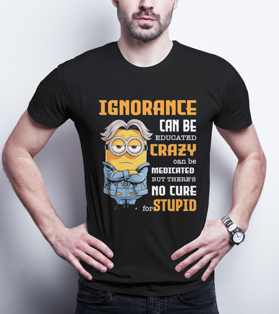 Ignorance Can Be Educated Crazy Can Be Medicated No Cure For Stupid Minion T-Shirt