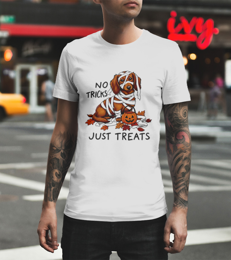 No Tricks Just Treats Dachshund Mummy Halloween Pumpkin Dog T-Shirt