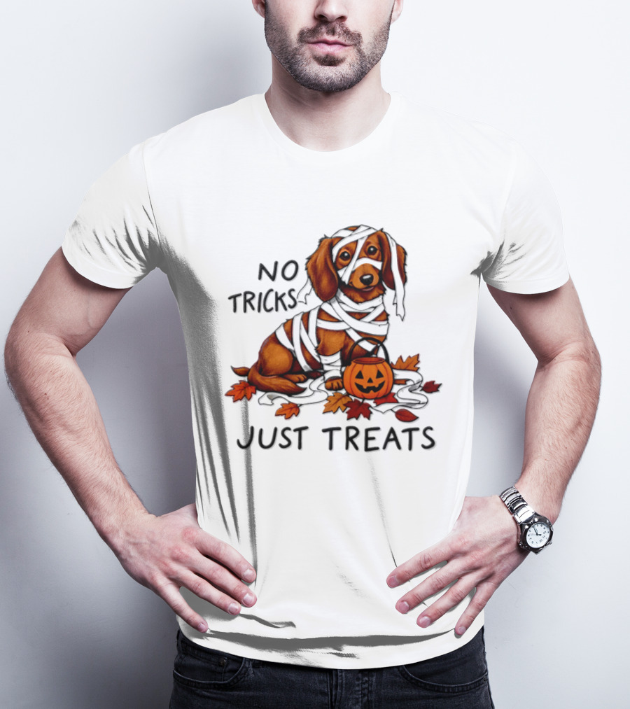 No Tricks Just Treats Dachshund Mummy Halloween Pumpkin Dog T-Shirt