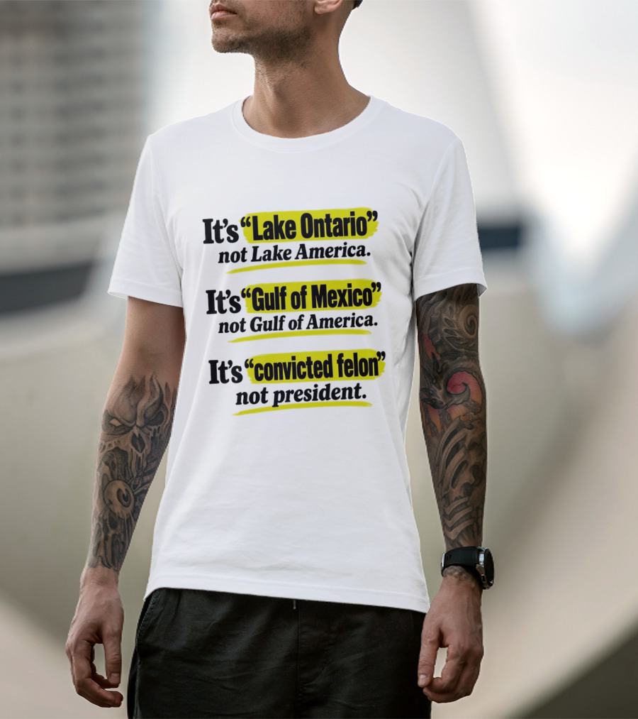 It's Lake Ontario Not Lake America Gulf Of Mexico Not Gulf Of America Convicted Felon Not President T-Shirt