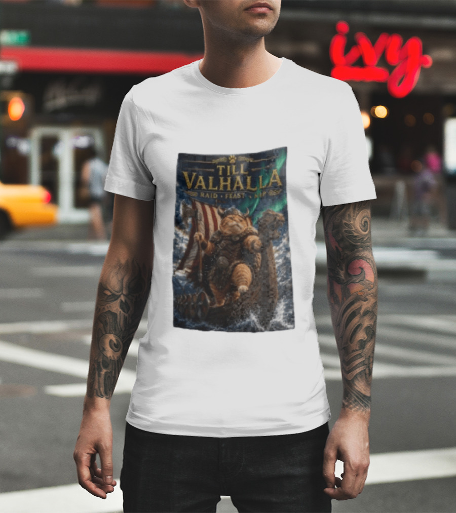 Till Valhalla Raid Feast Nap Viking Cat On Longship With Northern Lights T-Shirt