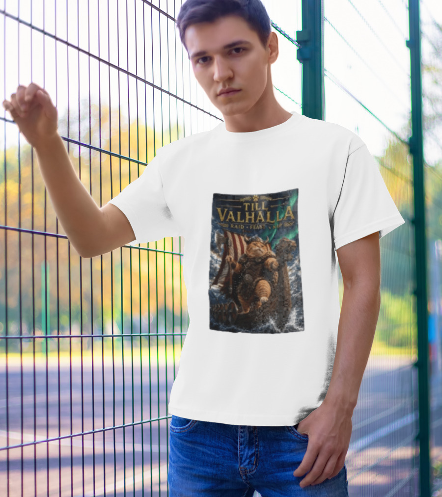 Till Valhalla Raid Feast Nap Viking Cat On Longship With Northern Lights T-Shirt
