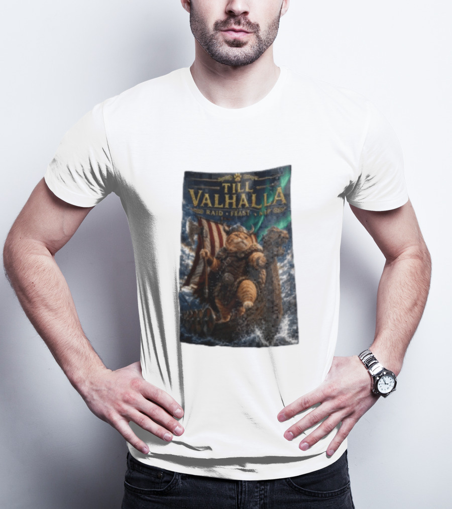 Till Valhalla Raid Feast Nap Viking Cat On Longship With Northern Lights T-Shirt
