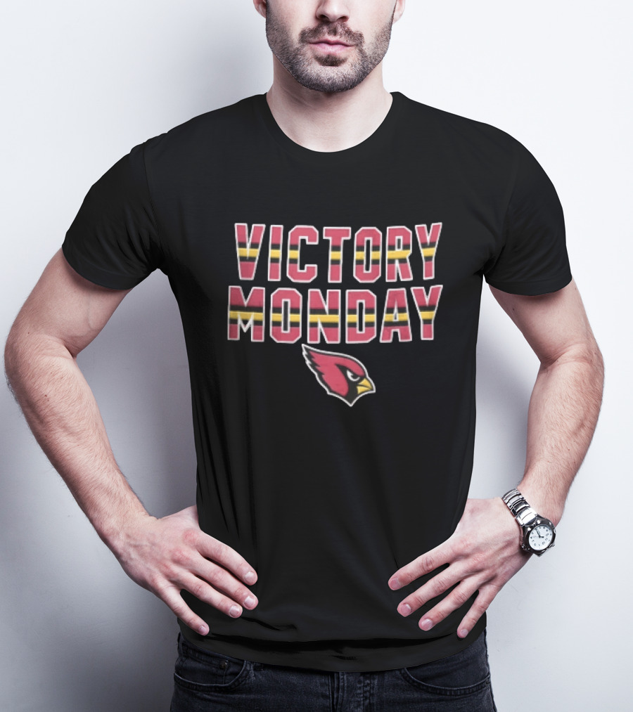 Victory Monday Arizona Cardinals Bird Head Striped T-Shirt