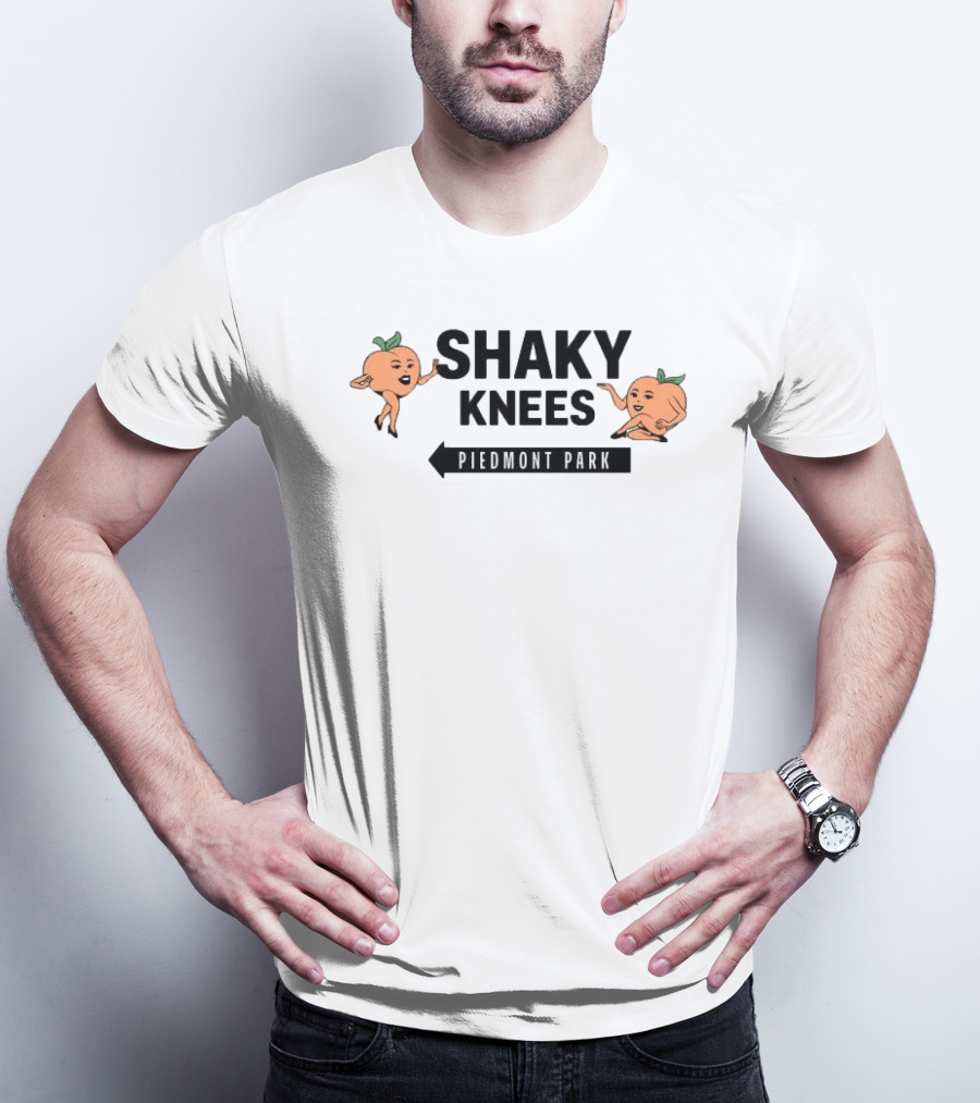 Shaky Knees Festival Piedmont Park Peaches Crop Raglan Women's Lineup T-Shirt