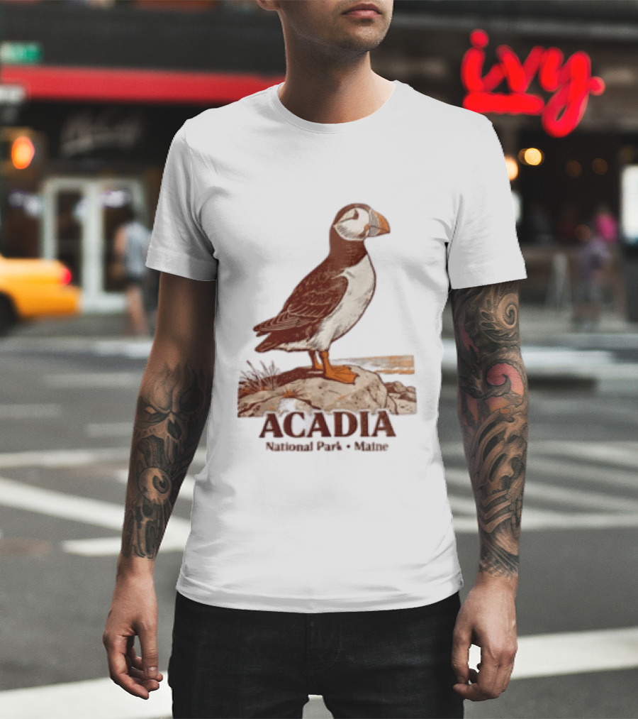 Acadia National Park Maine Puffin Standing On Rock T-Shirt