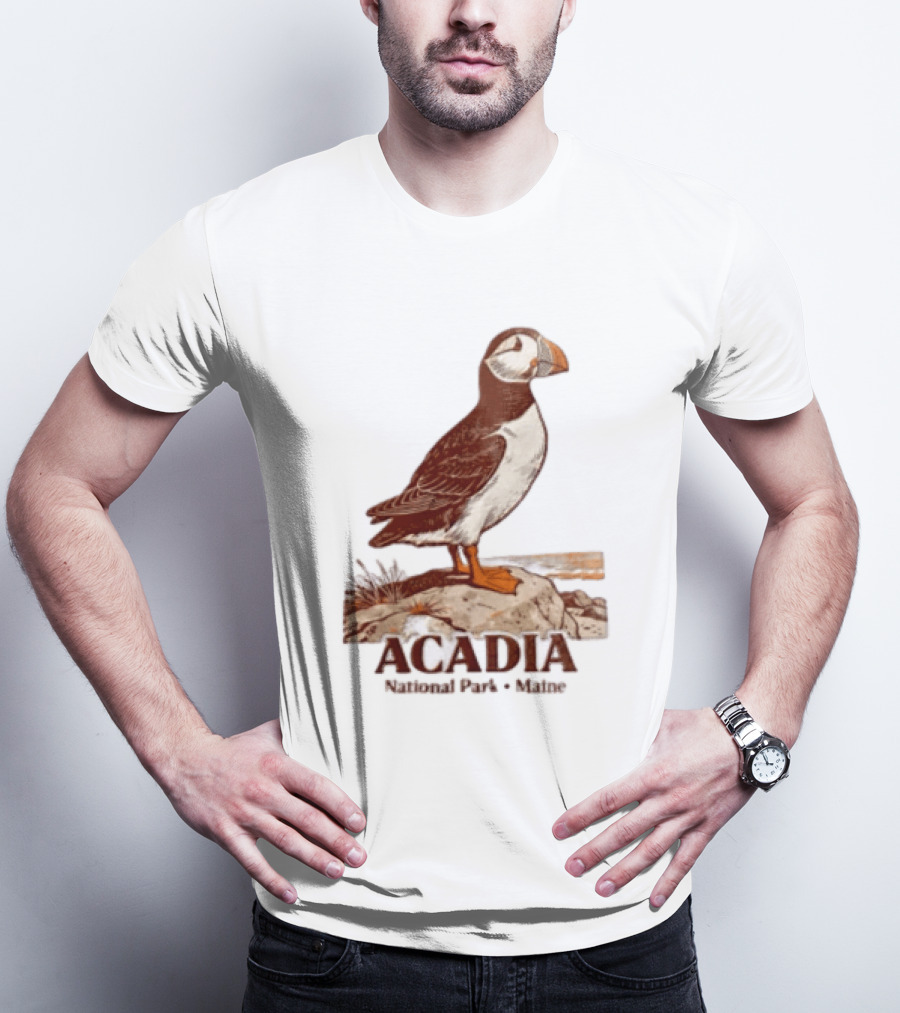 Acadia National Park Maine Puffin Standing On Rock T-Shirt
