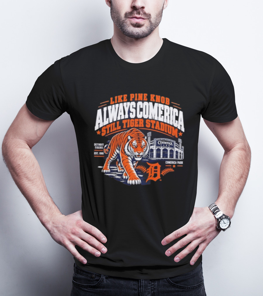 Detroit Tigers 2026 Pine Knob Comerica Tiger Stadium Est 1901 Iconic Baseball Tiger T-Shirt