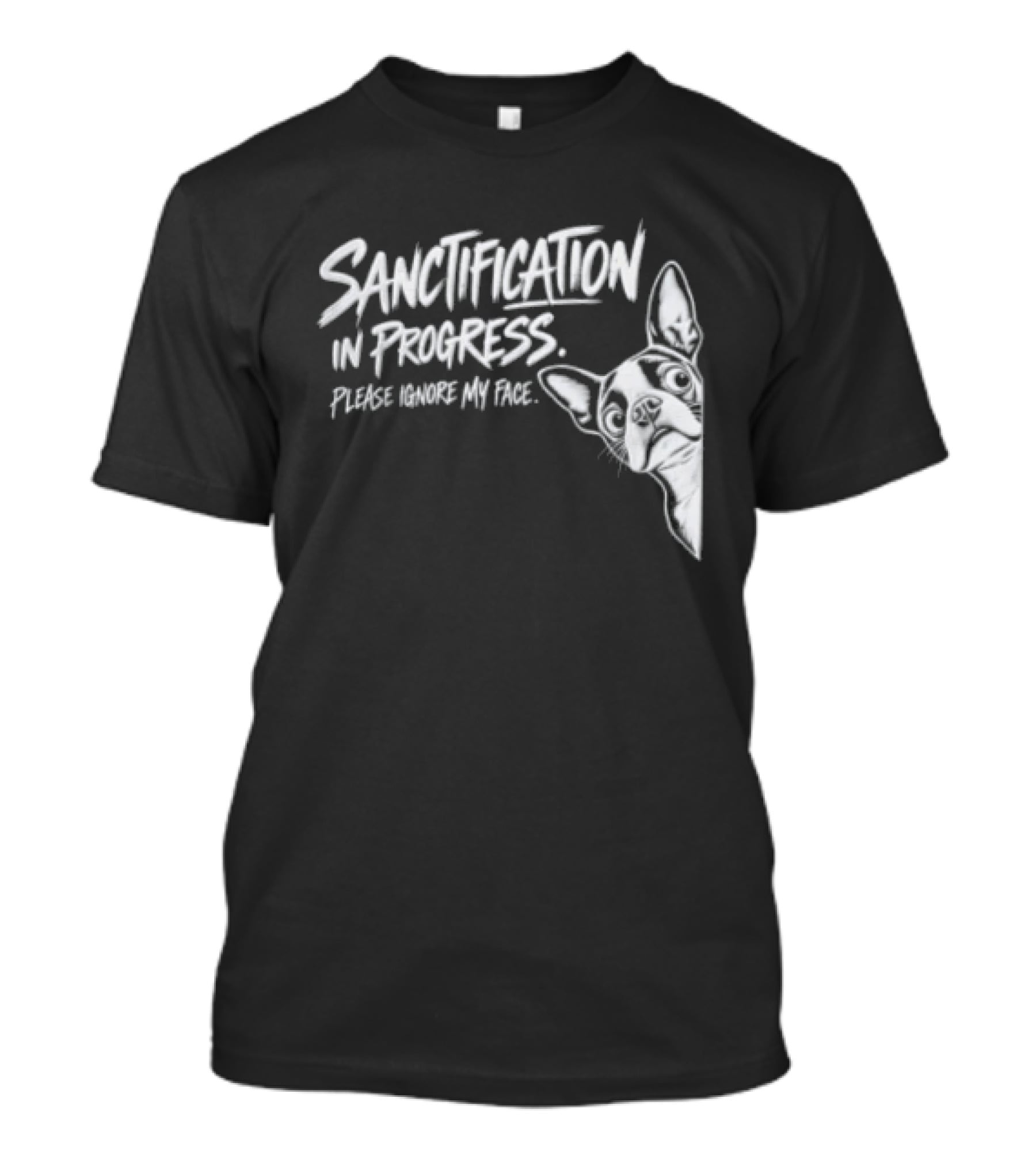 Sanctification In Progress Please Ignore My Face Funny Animal T-Shirt