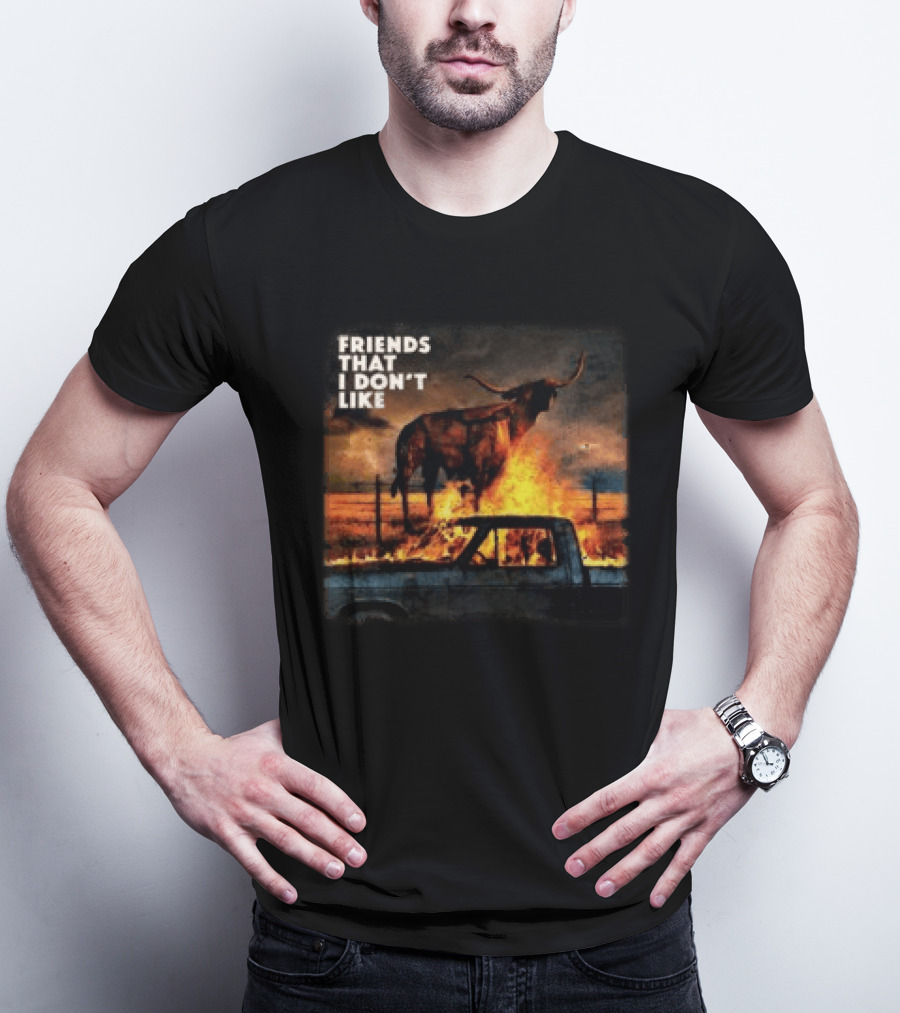 FRIENDS THAT I DON'T LIKE Dexter And The Moonrocks Store Fire Album T-Shirt