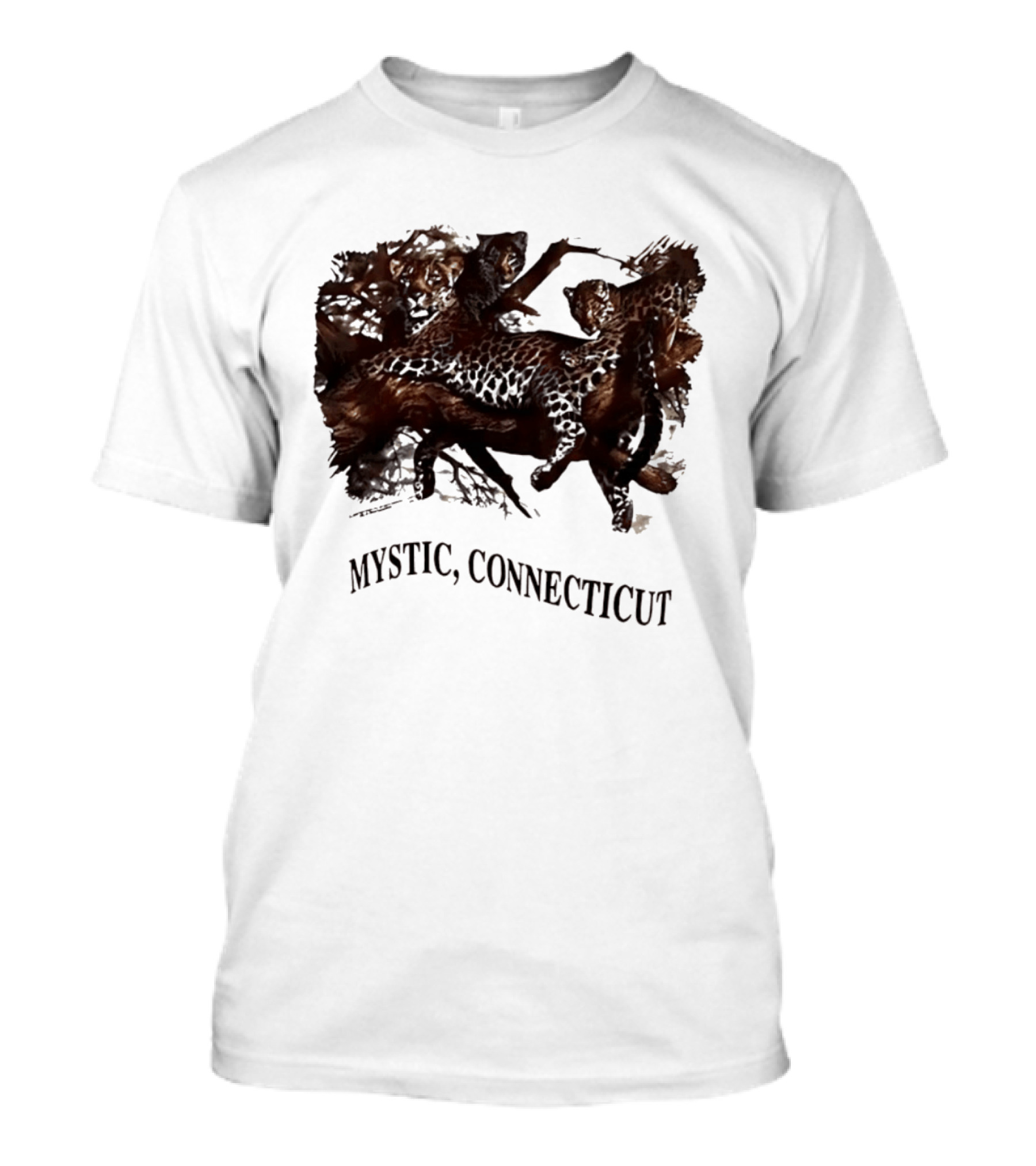 Mystic Connecticut Cheetah Panther Lion T-Shirt