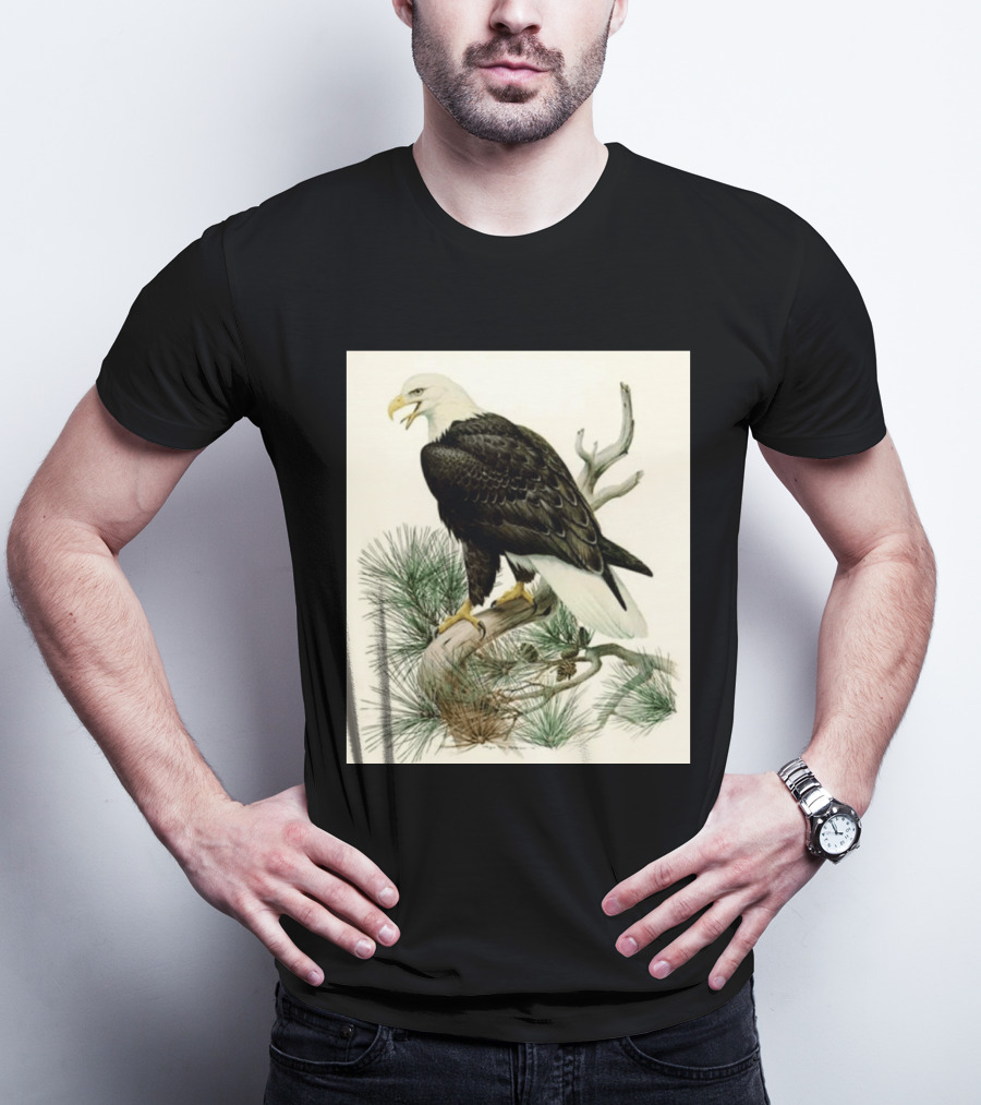 Roger Tory Peterson Bald Eagle Illustration On Stone Background 2026 T-Shirt