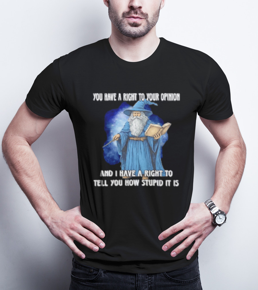 Wizard You Have A Right To Your Opinion And I Have A Right To Tell You How Stupid It Is T-Shirt
