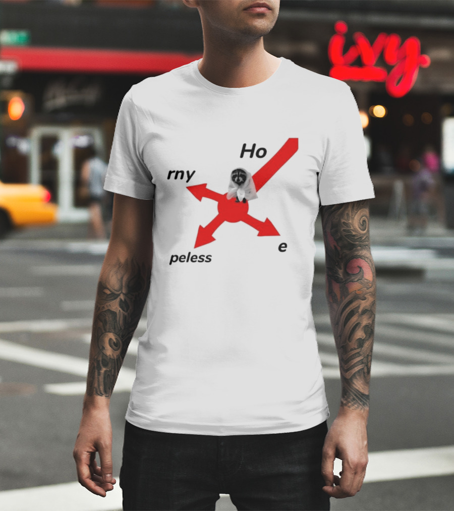 Raccoon Meme Ho Rny Peless Compass T-Shirt