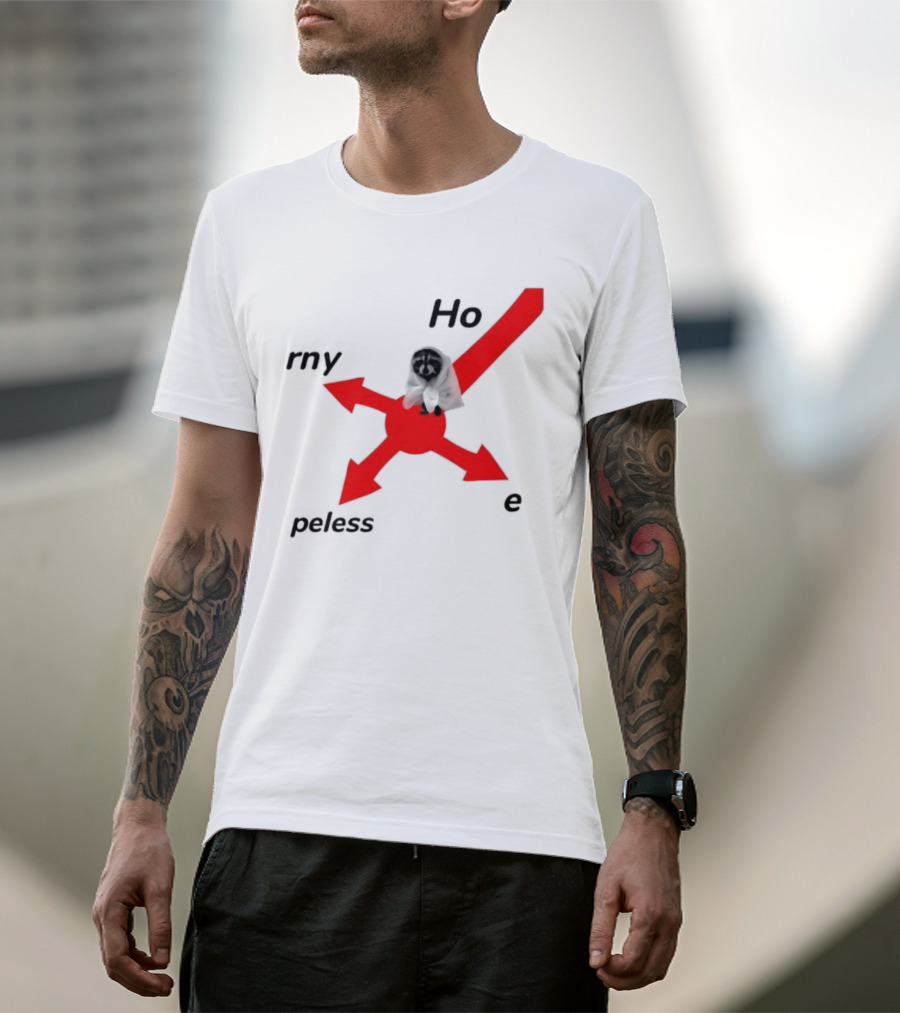 Raccoon Meme Ho Rny Peless Compass T-Shirt