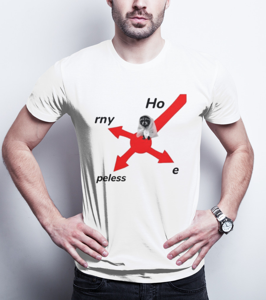 Raccoon Meme Ho Rny Peless Compass T-Shirt