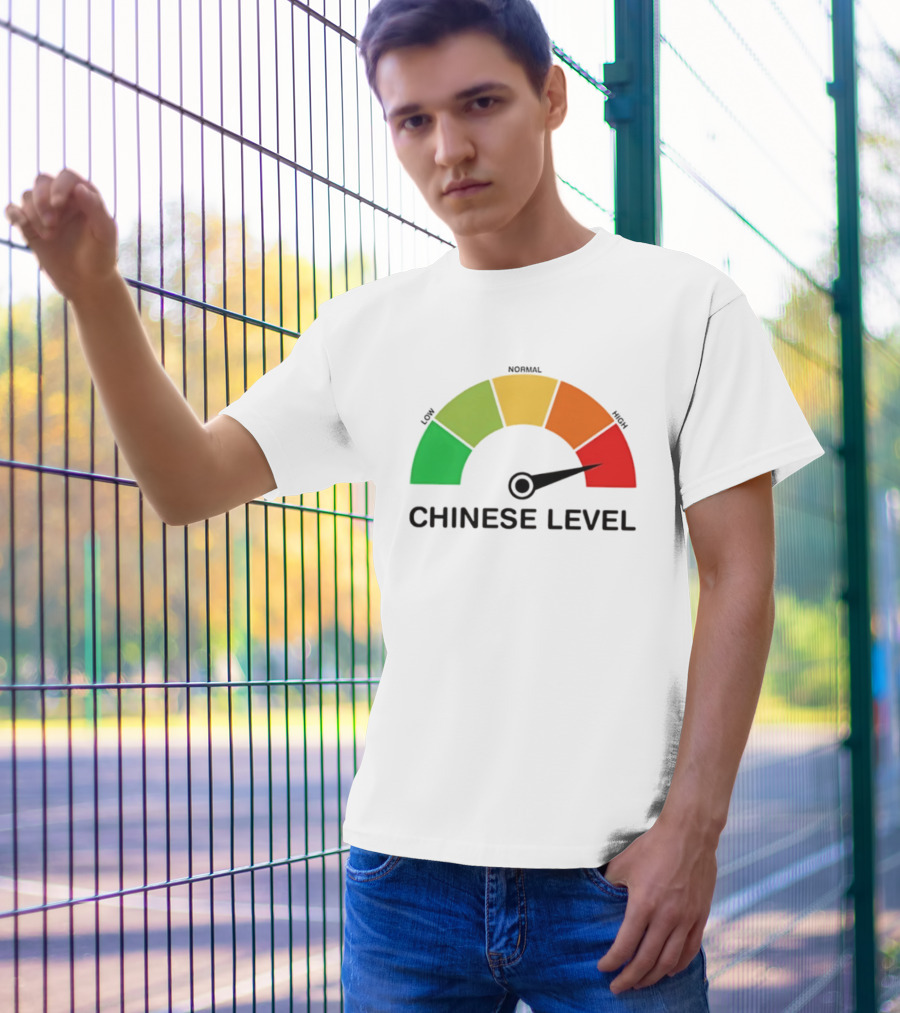 Chinese Level Meter Low Normal High Gauge T-Shirt