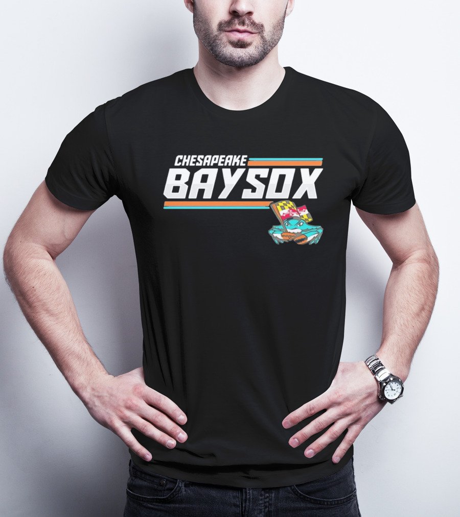 Chesapeake Baysox Maryland Crab Mascot Icon With Baseball Bat T-Shirt