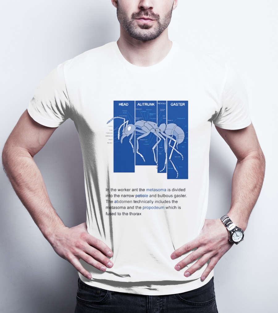 Worker Ant Diagram Head Alitrunk Gaster Metasoma Petiole Biology T-Shirt