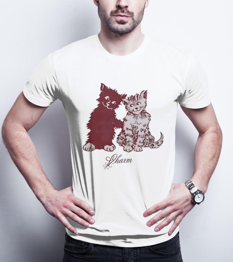 Charm Kittens Cats Hugging T-Shirt