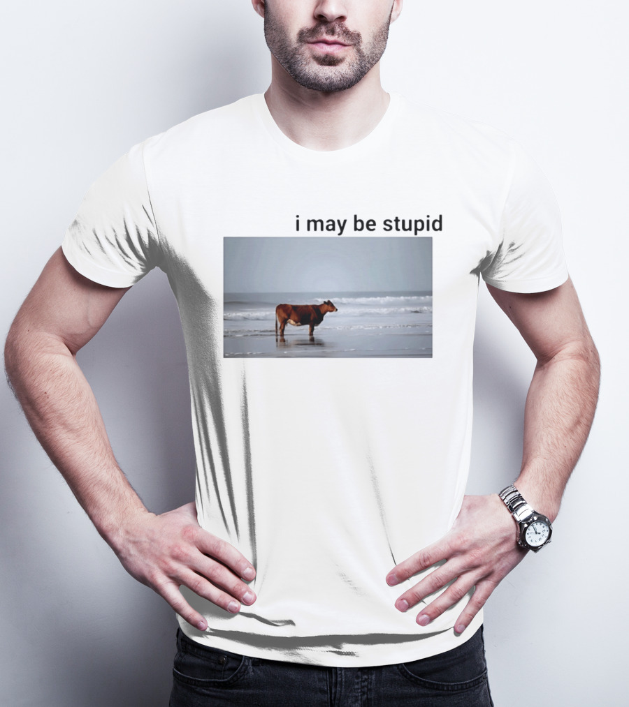 I May Be Stupid Cow At The Beach T-Shirt