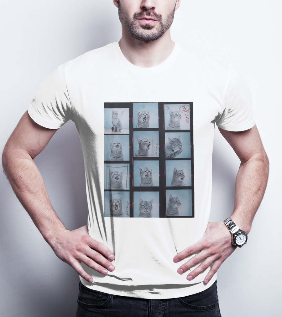 Tabby Cat Film Strip Series With Numbered Frames And Annotations T-Shirt
