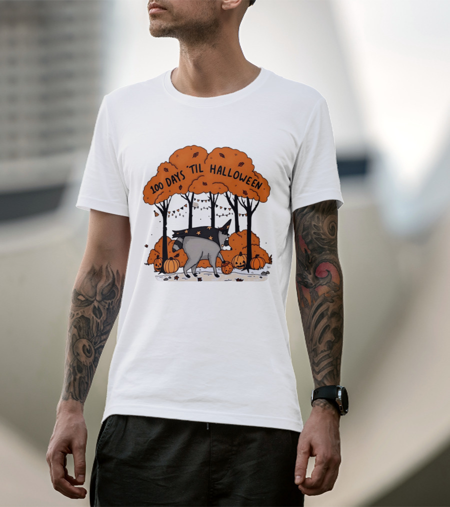 100 Days 'til Halloween Raccoon Wizard Costume In Pumpkin Patch Forest T-Shirt