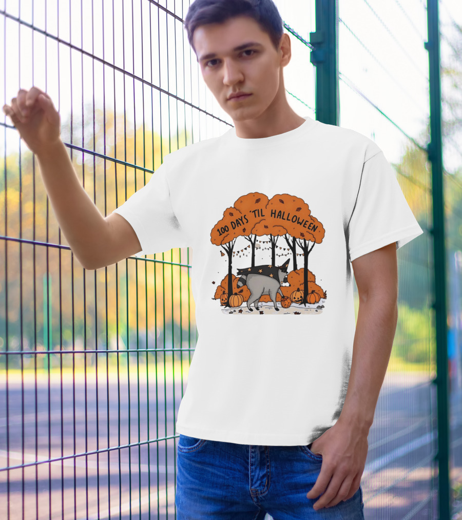 100 Days 'til Halloween Raccoon Wizard Costume In Pumpkin Patch Forest T-Shirt