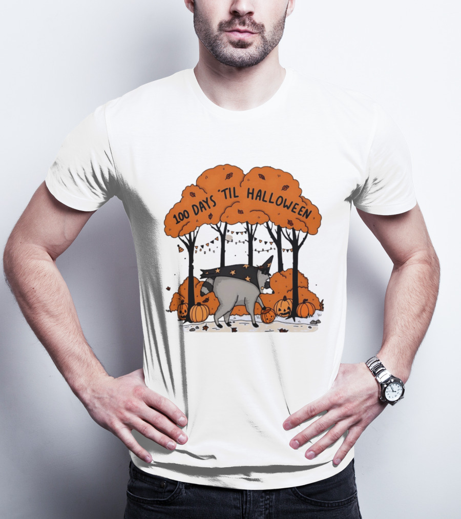 100 Days 'til Halloween Raccoon Wizard Costume In Pumpkin Patch Forest T-Shirt