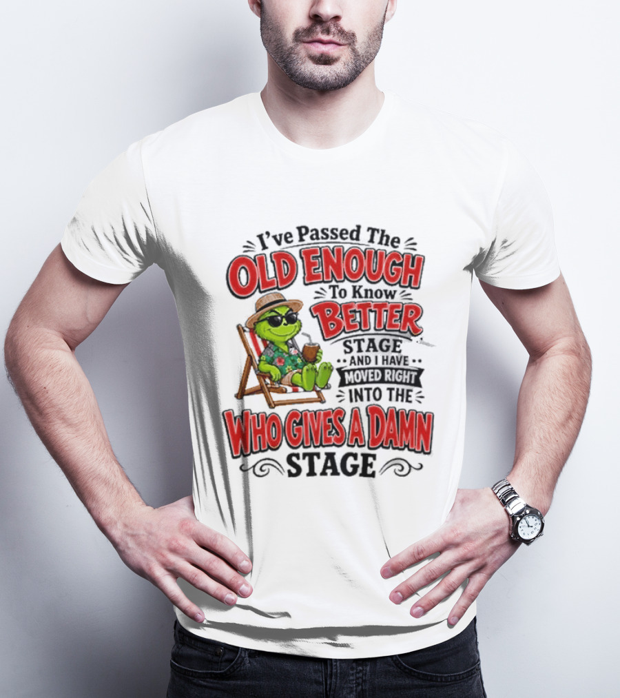 I've Passed Into The Grinch Old Enough To Know Better Who Gives A Damn Stage T-Shirt