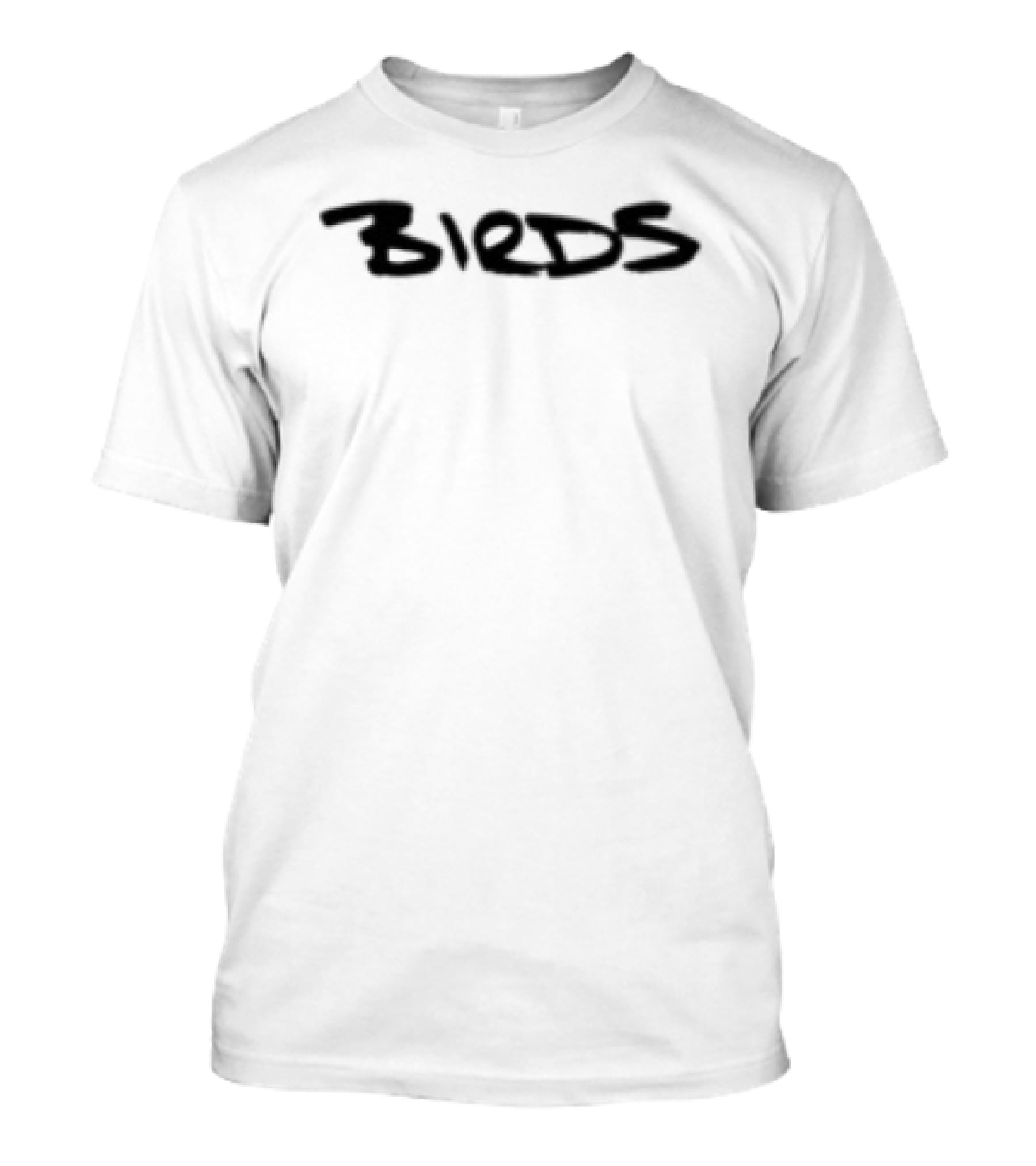Turnstile Store Turnstile Birds Painting T-Shirt