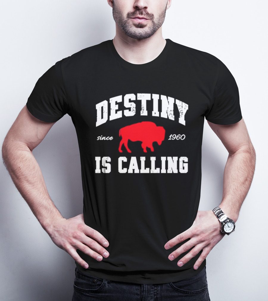 Buffalo Bills Destiny Is Calling Since 1960 Distressed T-Shirt