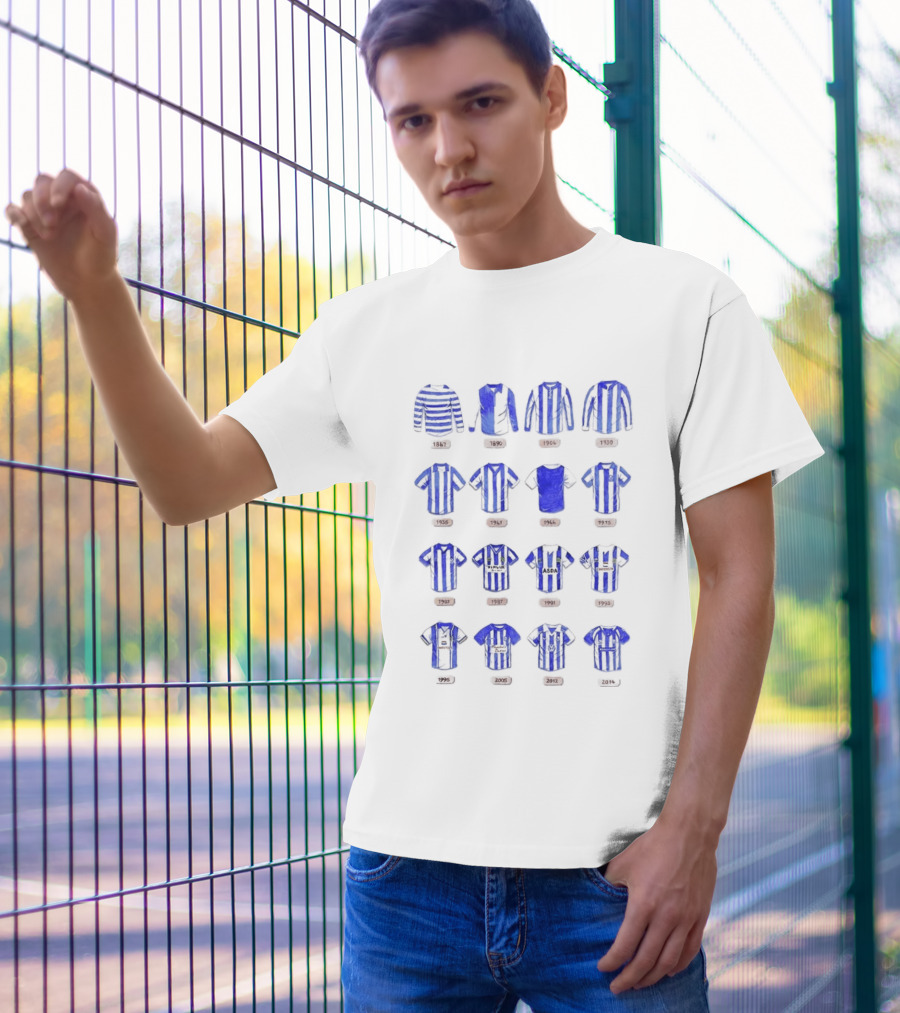 Sheffield Wednesday FC Kit Evolution 1867 1993 Blue And White Stripes T-Shirt