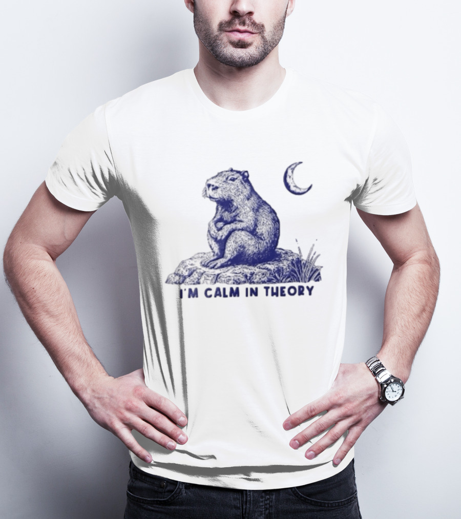 I'm Calm In Theory Capybara Sitting On Rock Under Crescent Moon T-Shirt