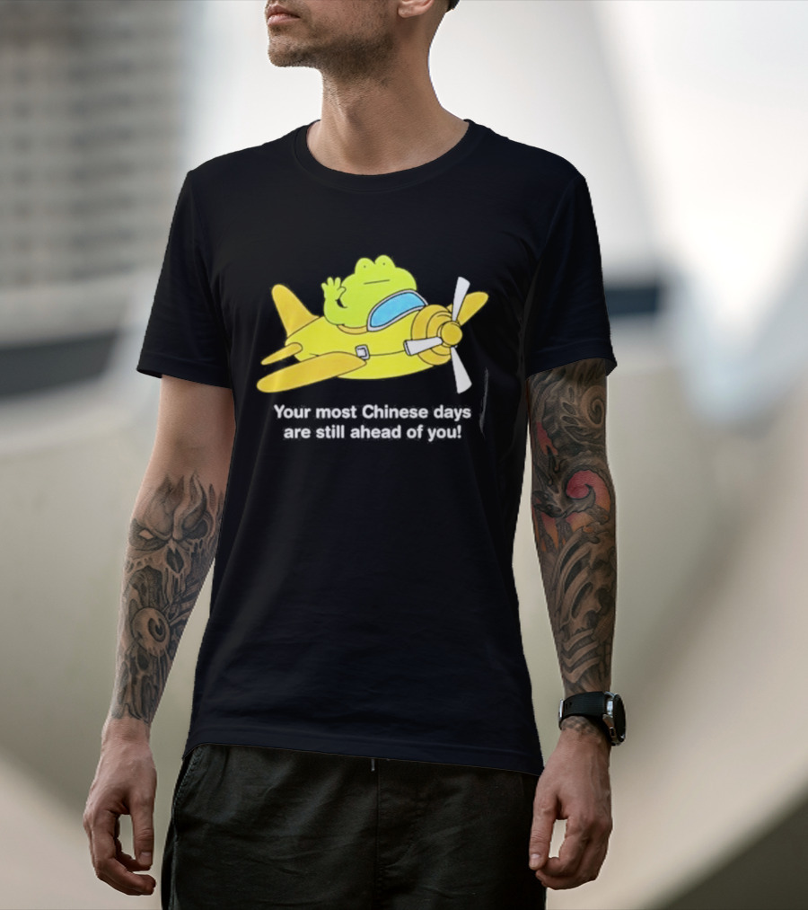 Frog Your Most Chinese Days Are Still Ahead Of You Airplane Scene T-Shirt