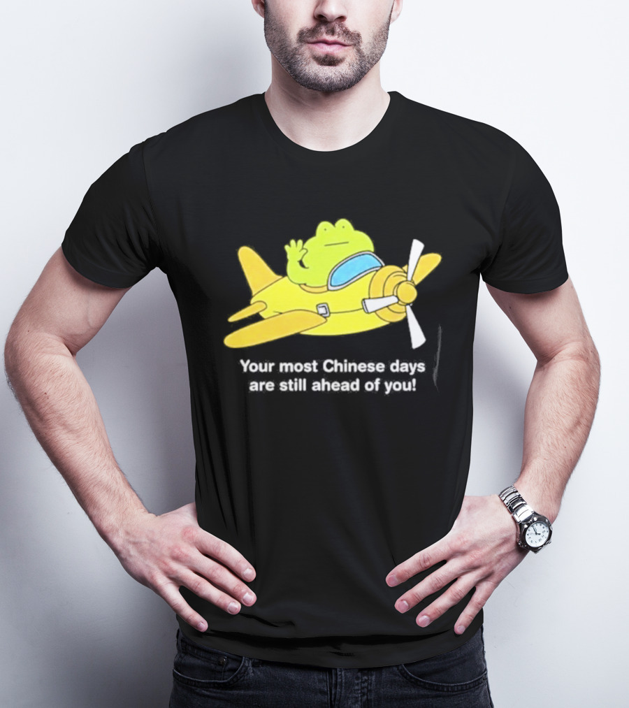 Frog Your Most Chinese Days Are Still Ahead Of You Airplane Scene T-Shirt