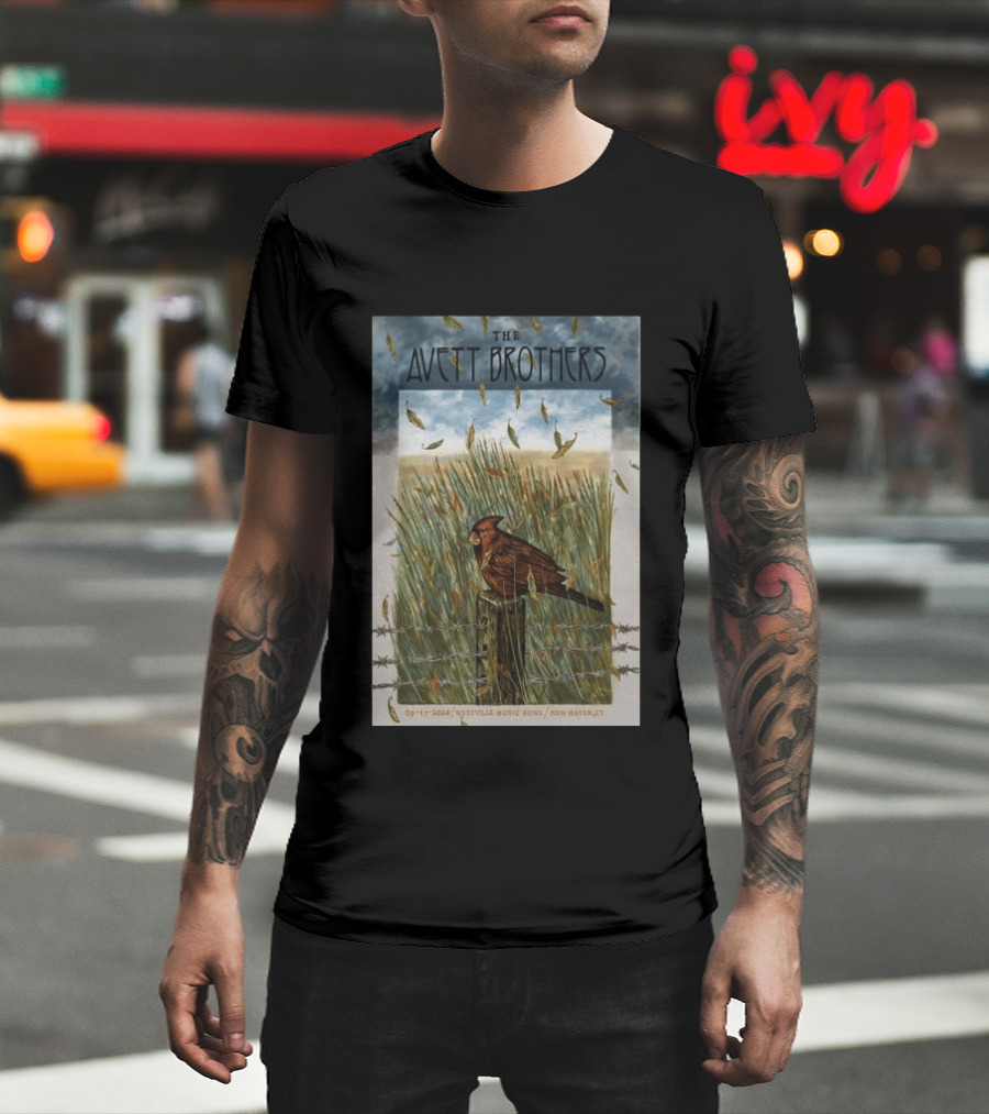 The Avett Brothers Westville Music Bowl New Haven CT Sep 17 2026 Cardinal In Field T-Shirt