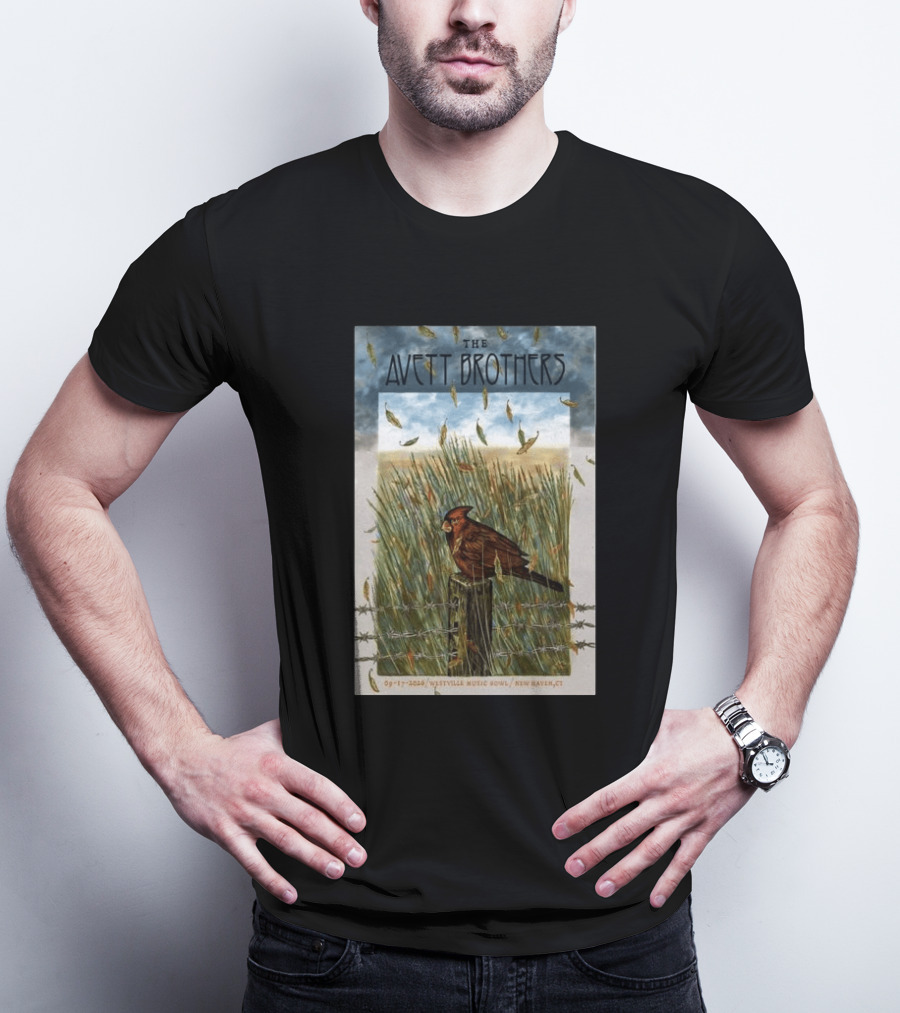 The Avett Brothers Westville Music Bowl New Haven CT Sep 17 2026 Cardinal In Field T-Shirt