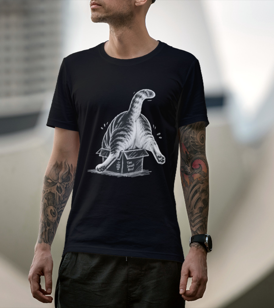 Too Small Bro Tabby Cat Stuck In Box Rear View T-Shirt