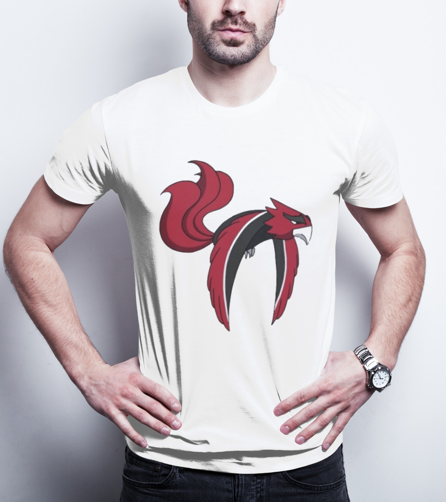 Atlanta Falcons Pokemon Mashup Bird T-Shirt