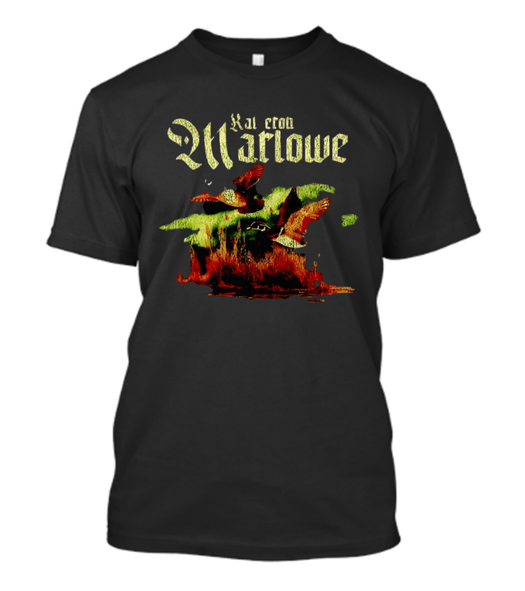Kameron Marlowe Distressed Ducks Country Music T-Shirt