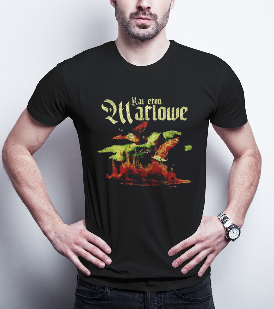 Kameron Marlowe Distressed Ducks Country Music T-Shirt