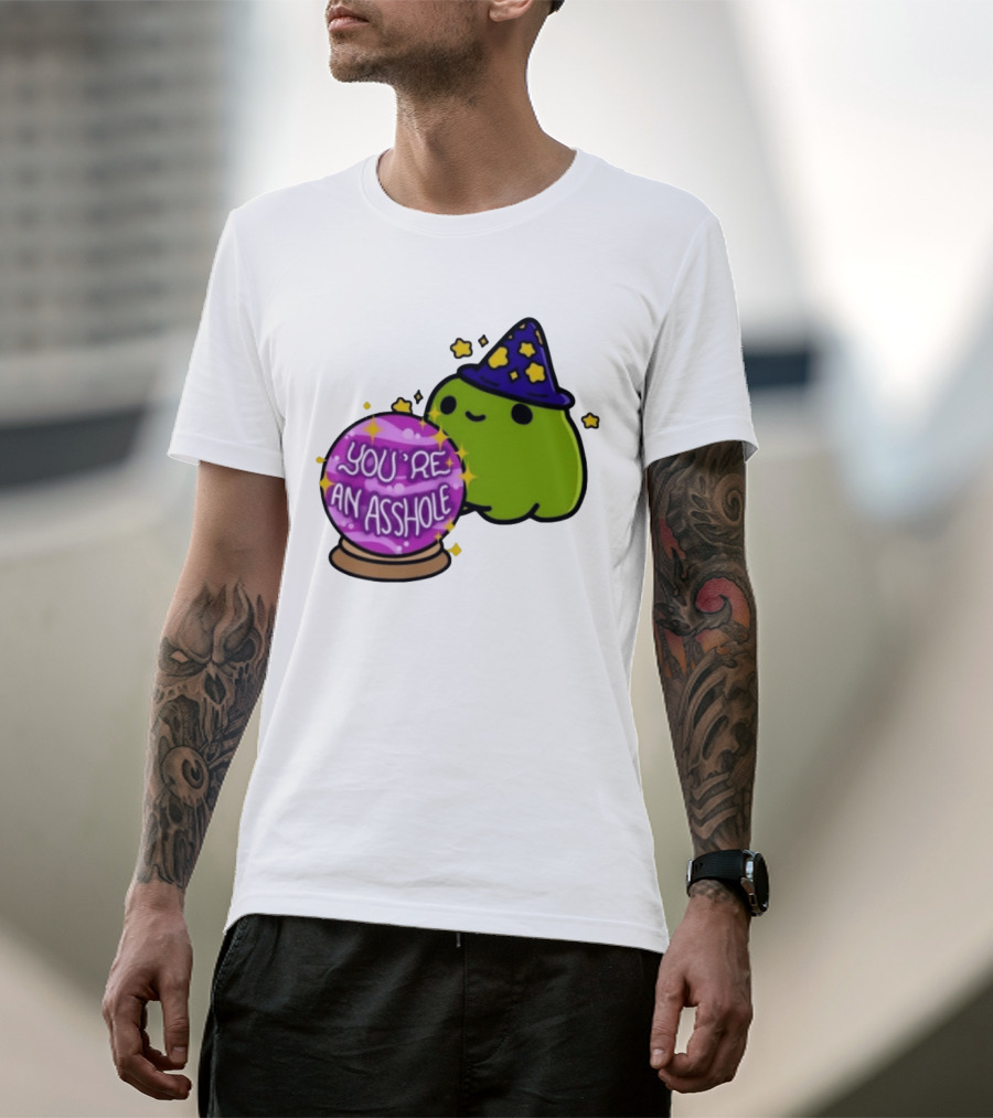 Frog Wizard Starry Hat Crystal Ball You're An Asshole T-Shirt