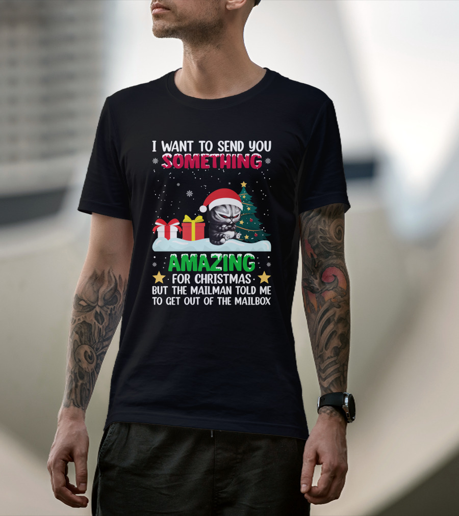 I Want To Send You Something Amazing For Christmas But The Mailman Told Me To Get Out Of The Mailbox Cat T-Shirt